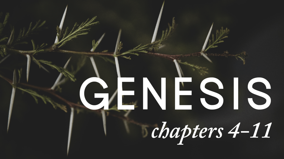 Genesis 9:1-17 – Outer Banks Community Church